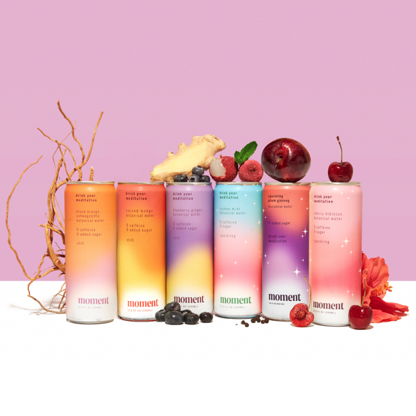 Mixed Variety Pack [24 Pack] | DrinkMoment.com - Adaptogen Drinks