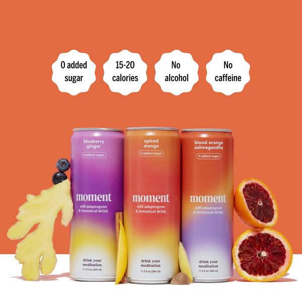 Still Variety Pack [24 Pack] | DrinkMoment.com - Adaptogen Drinks
